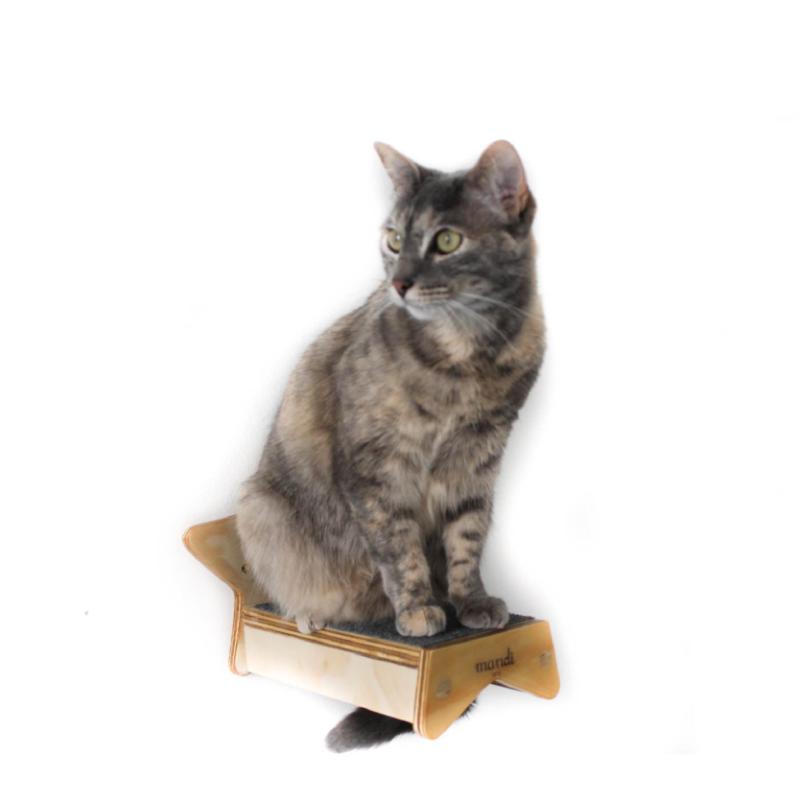 Mandi - Kit Sky Wood | Laika Mascotas