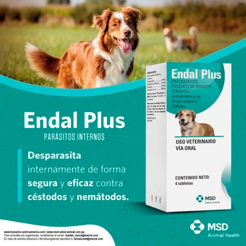 Msd - Endal Plus | Laika Mascotas