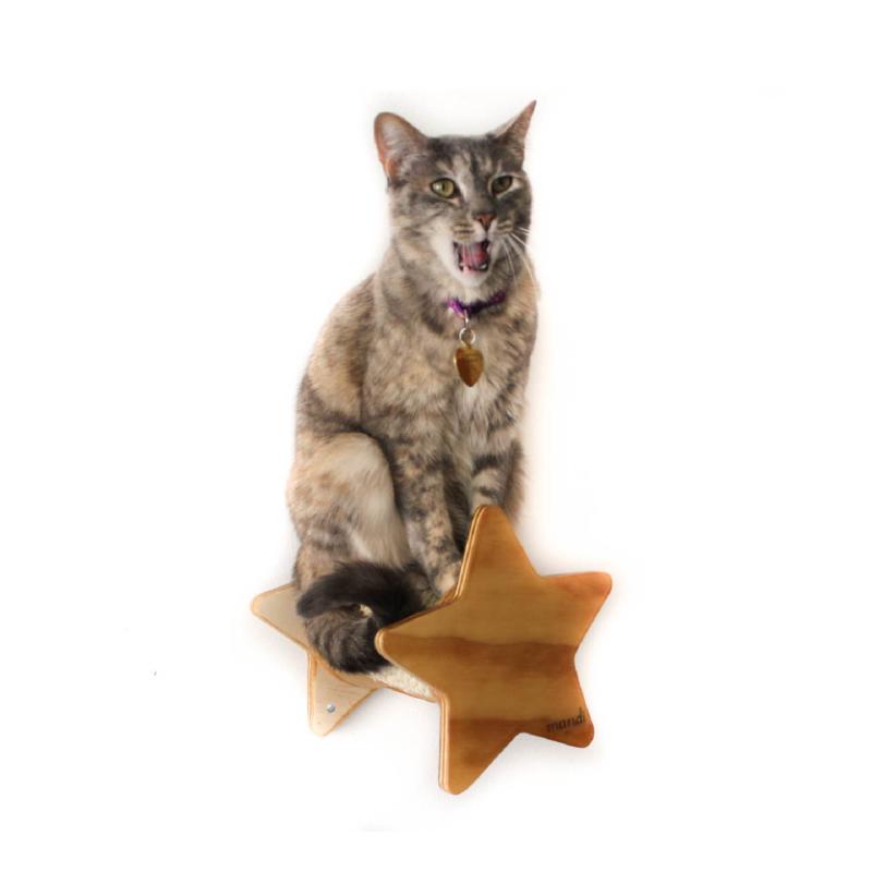 Mandi - Kit Sky Wood | Laika Mascotas