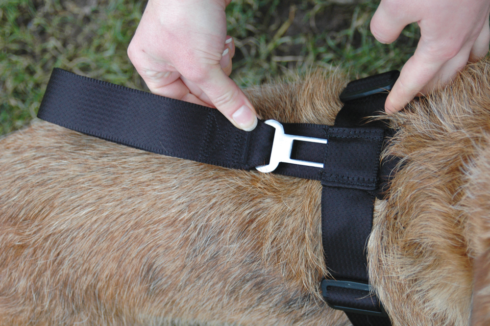 CLIX CAR SAFE | Laika Mascotas