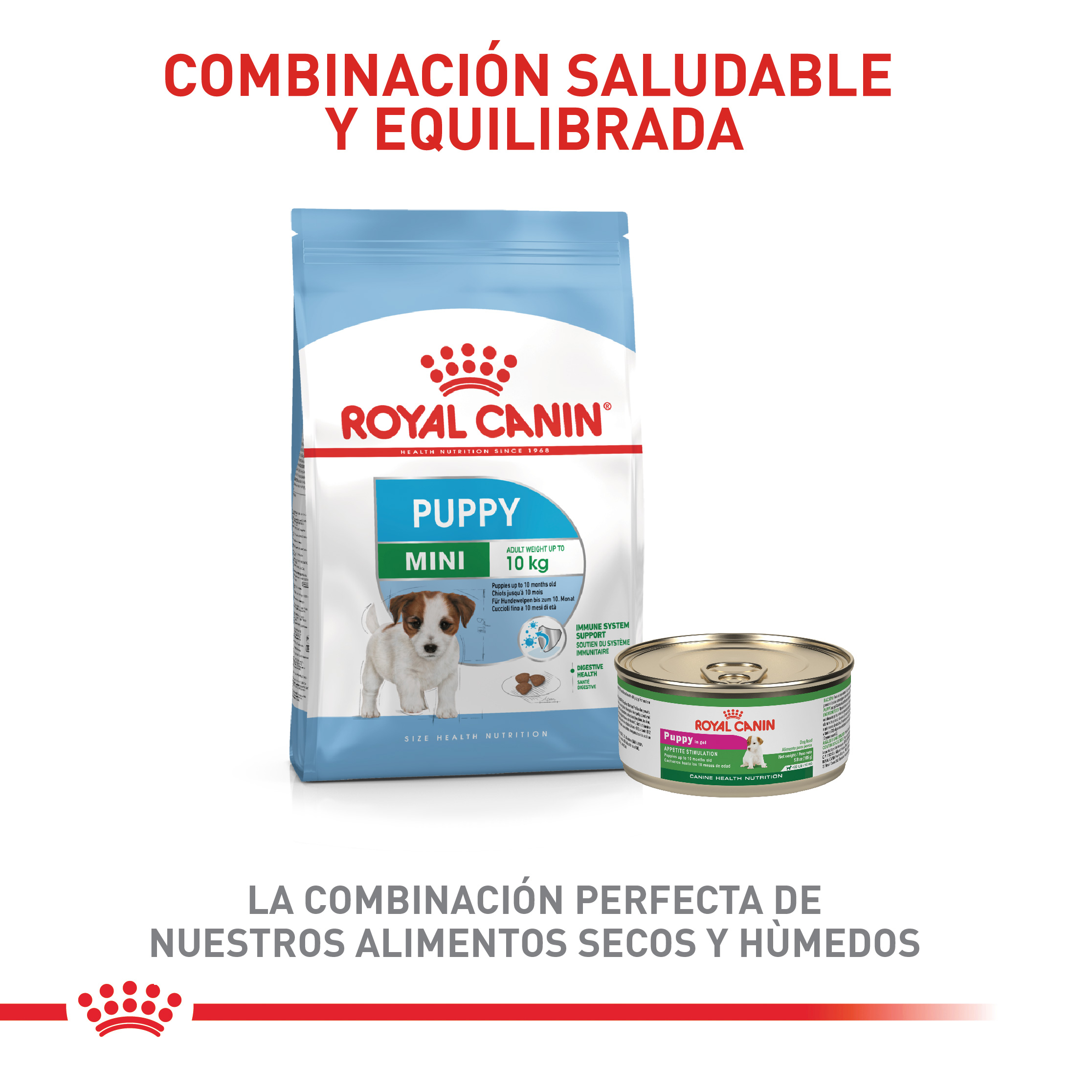 Royal Canin - Mini Puppy | Laika Mascotas