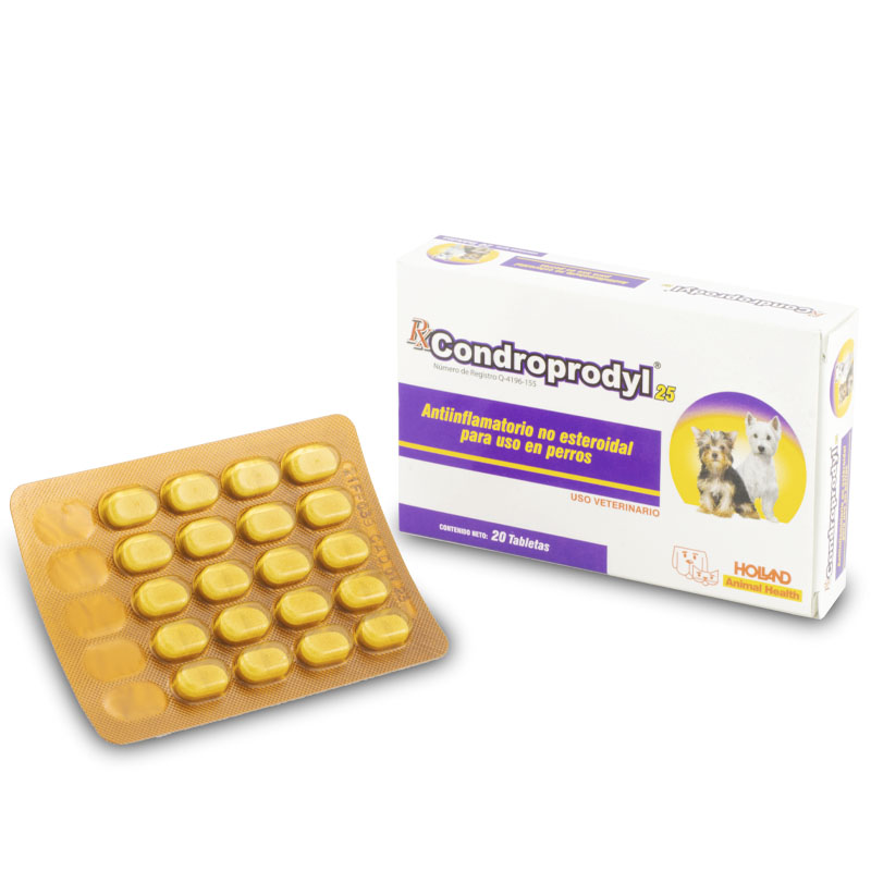 Qué Es Un Buen Antiinflamatorio Para Perros