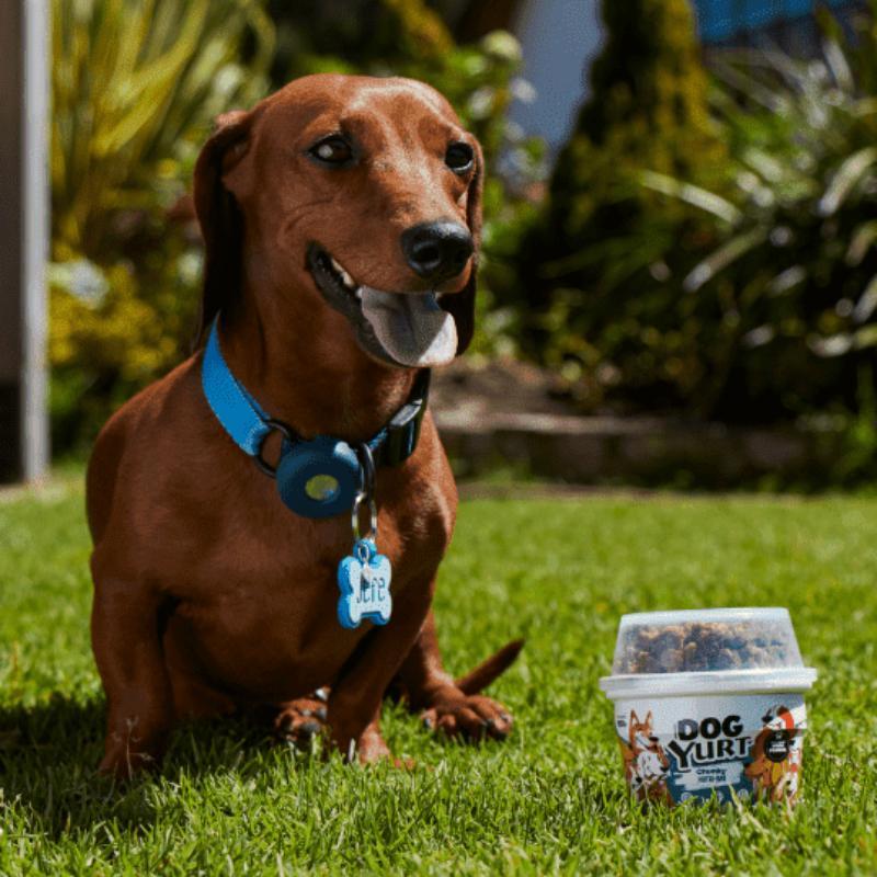 Dog Yurt - Chunky Delidog Snack para Perros | Laika Mascotas